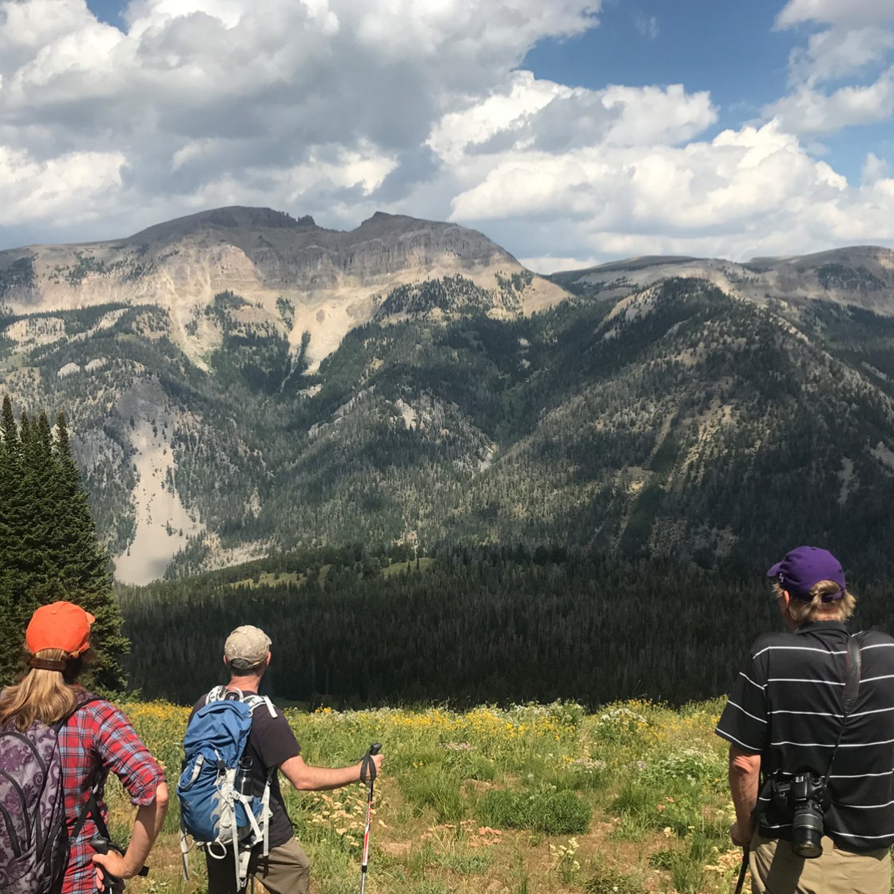 10 Things To Do in Jackson Hole in The Spring - Jackson Hole Traveler