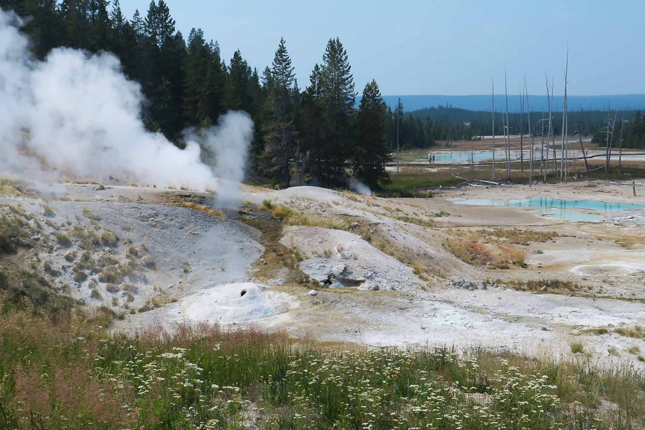 Yellowstone National Park One-Day Lower Loop Sightseeing Itinerary