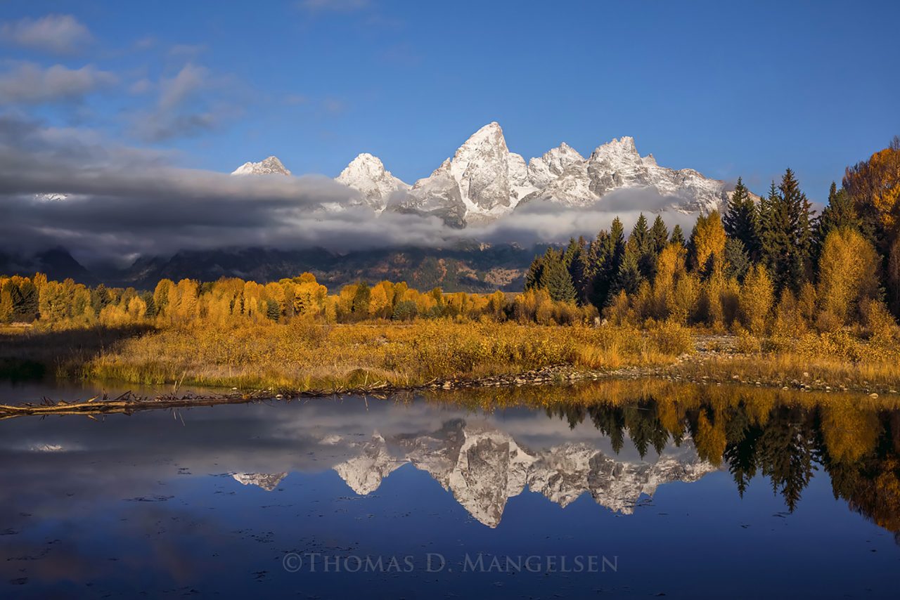 Mangelsen - Images of Nature Gallery - Jackson Hole Traveler