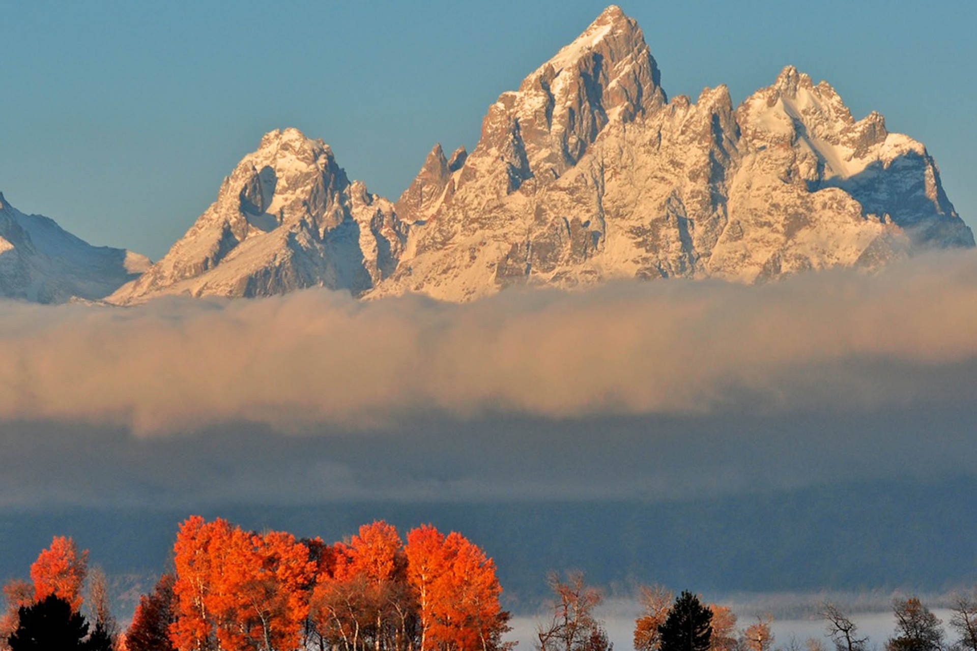 EcoTour Adventures - Jackson Hole Traveler