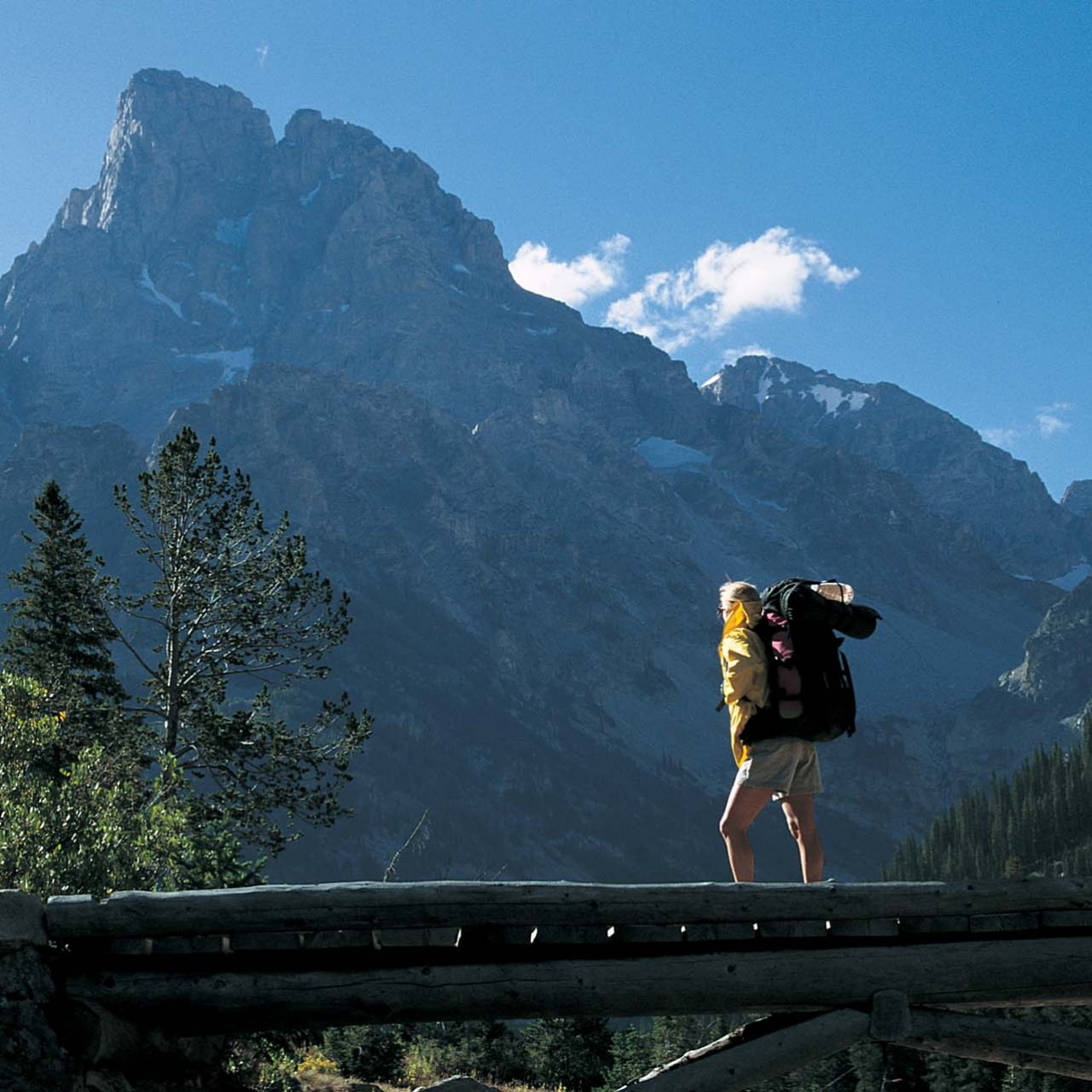 Jackson Hole Airport - Jackson Hole Traveler