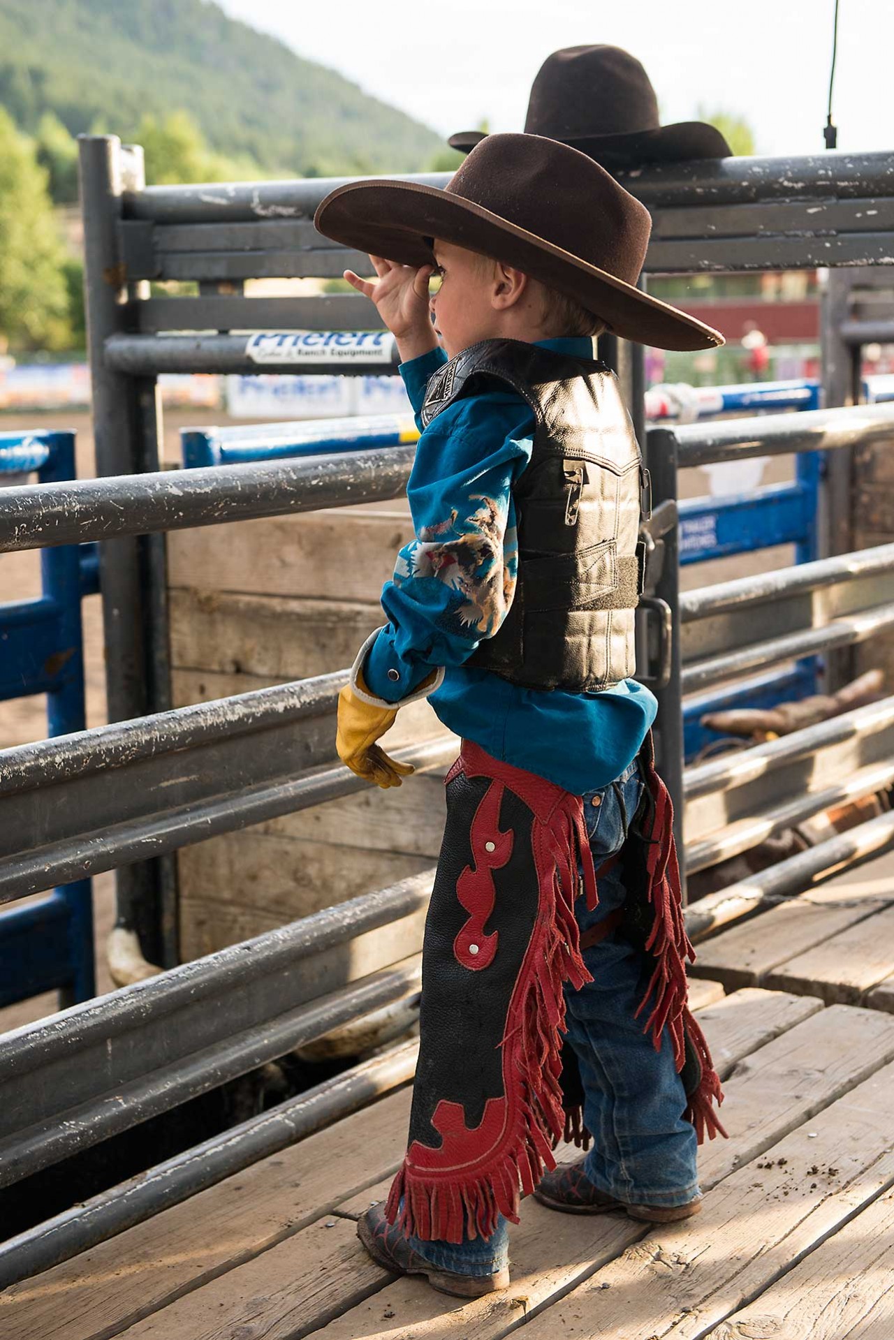 Jackson Hole Rodeo: The Essentials - Jackson Hole Traveler