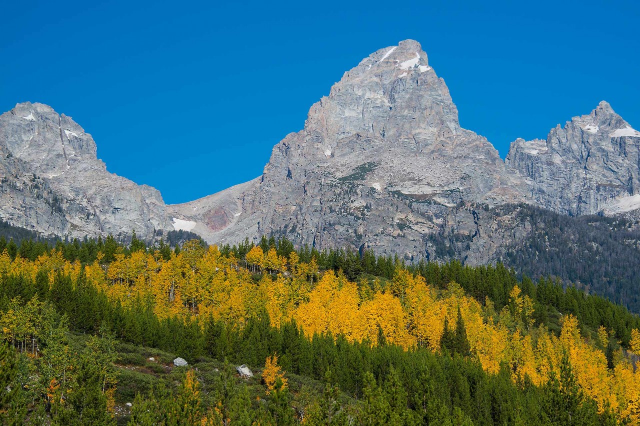 Free Things To Do in Jackson Hole in Fall