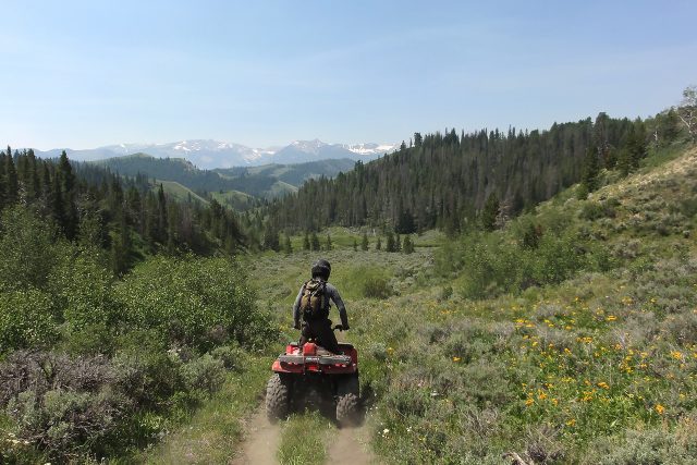 Scenic Safaris - Jackson Hole Traveler