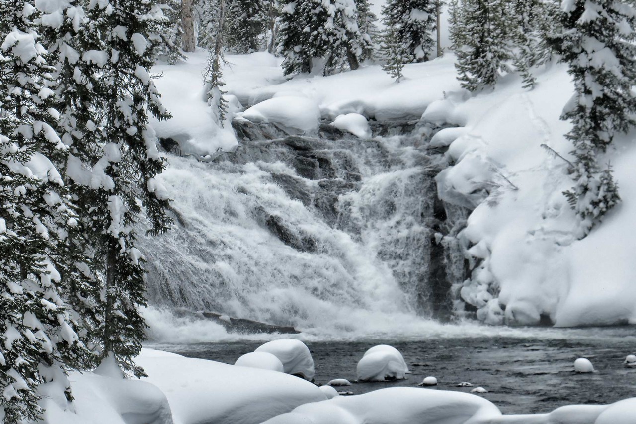 Snowmobiling Through Yellowstone National Park