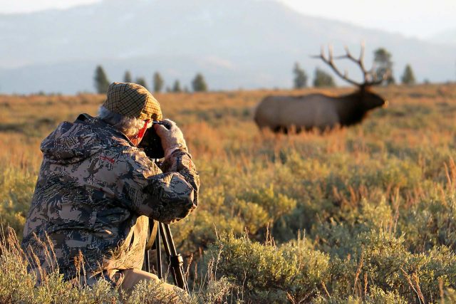 Tom Mangelsen of Jackson Hole - Jackson Hole Traveler