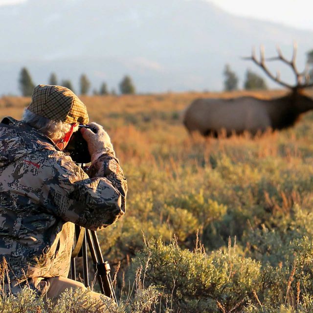 Tom Mangelsen of Jackson Hole - Jackson Hole Traveler