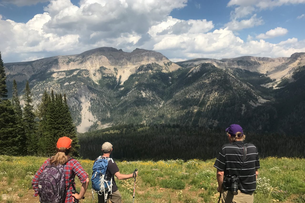 Spotlight on Bridger-Teton National Forest - Jackson Hole Traveler