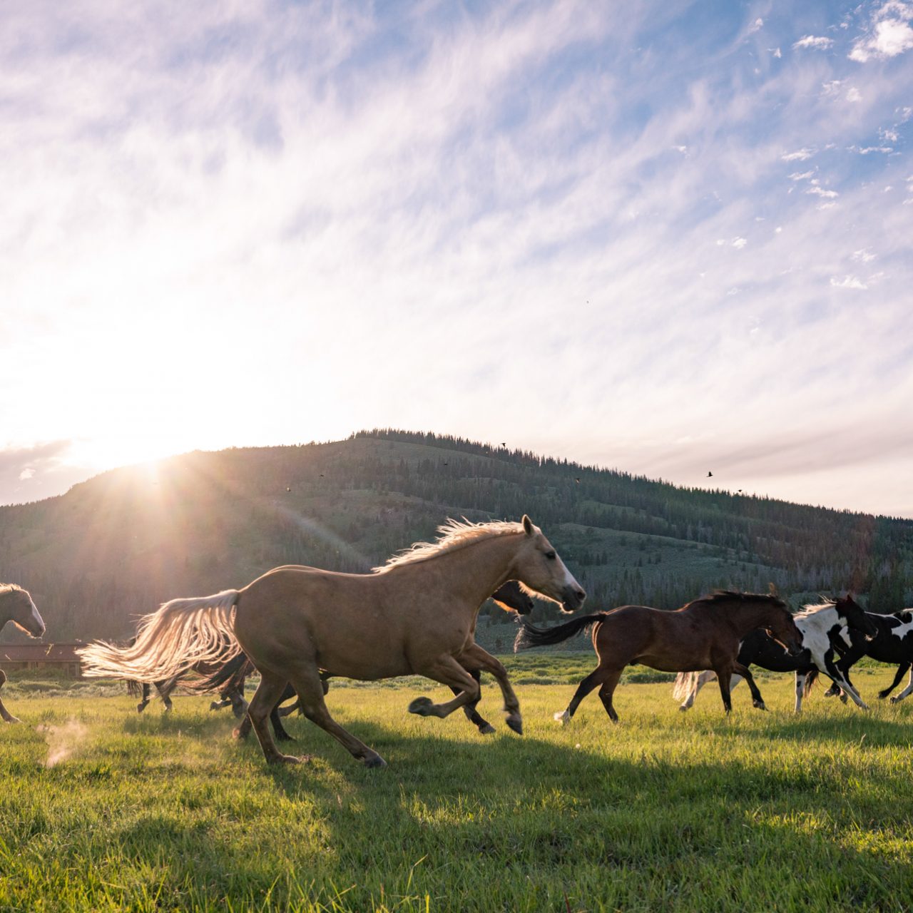 Things To Do in Jackson Hole in Winter - Jackson Hole Traveler