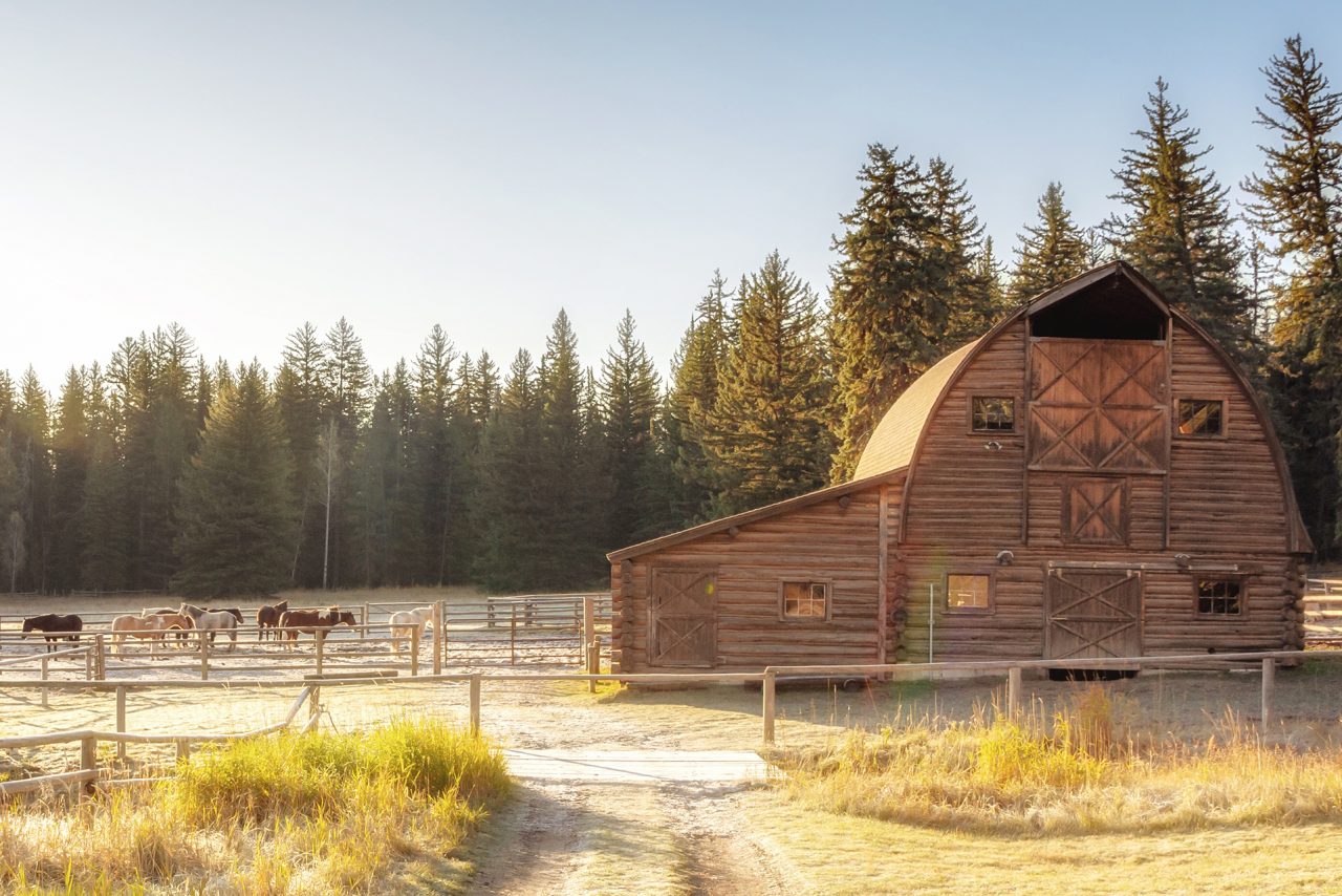Cabins - Jackson Hole Traveler