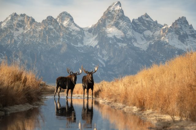 Isaac Spotts photography - Jackson Hole Traveler