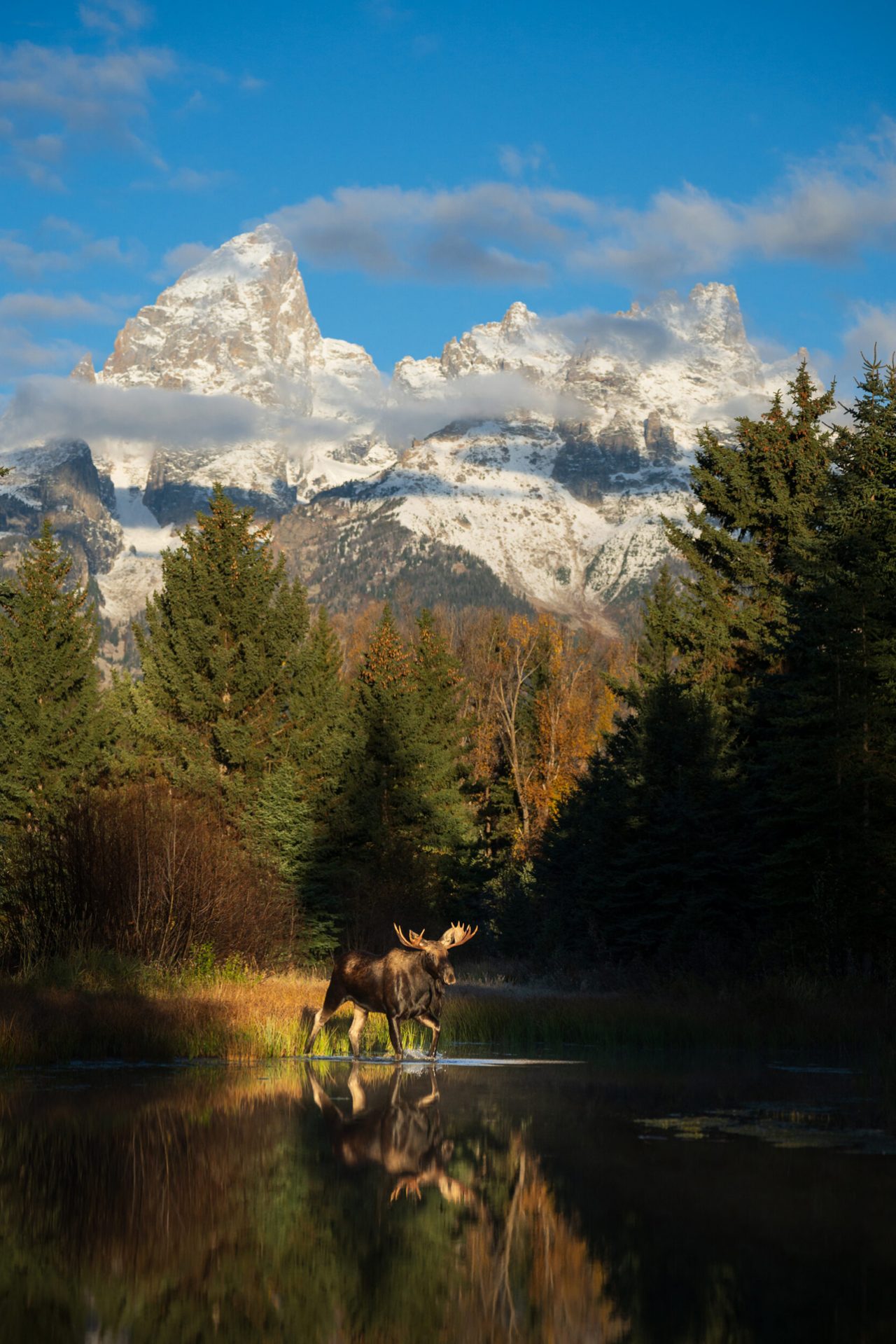 A Jackson Hole Summer List of Things To Do - Jackson Hole Traveler